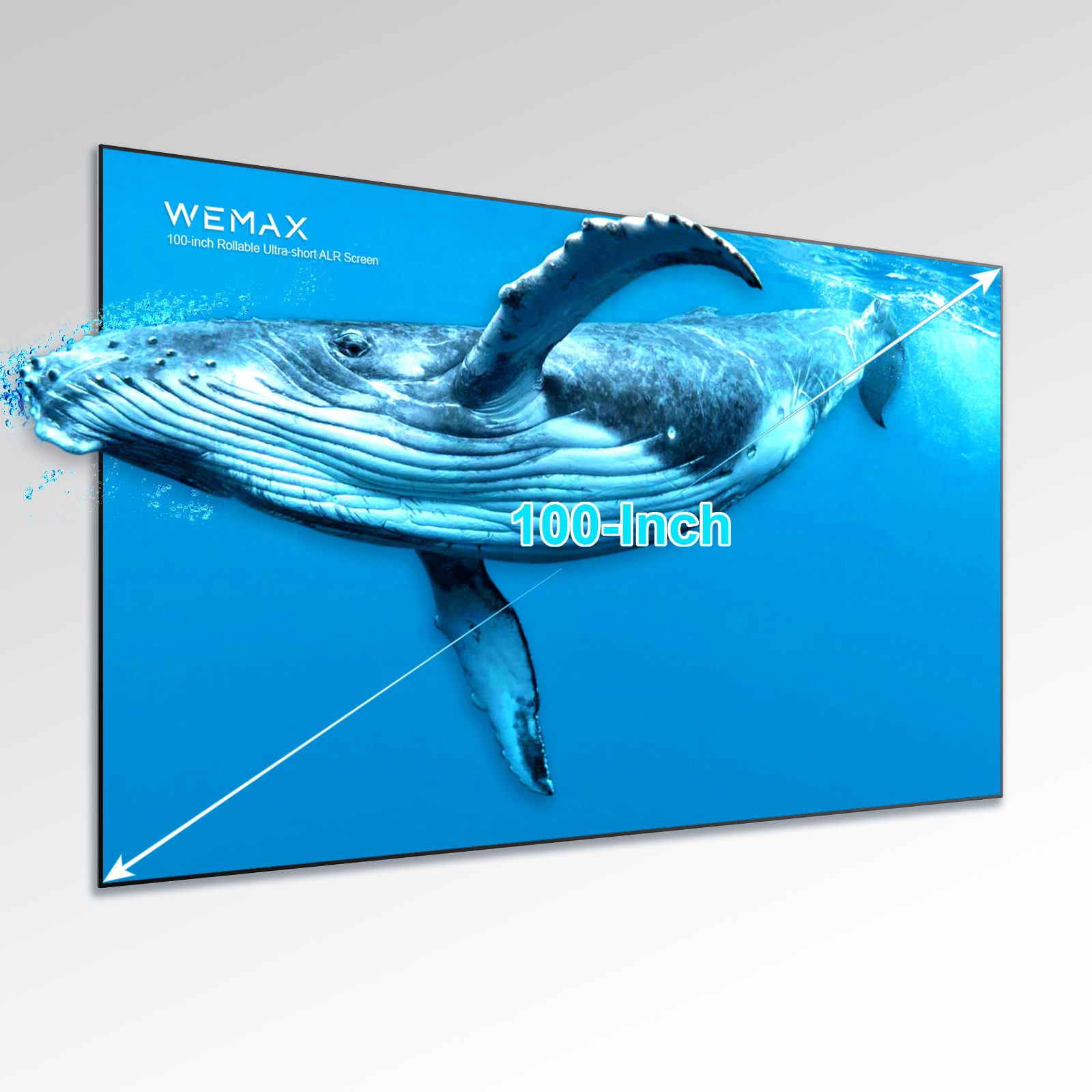 Shop All – Tagged "" – WEMAX Official