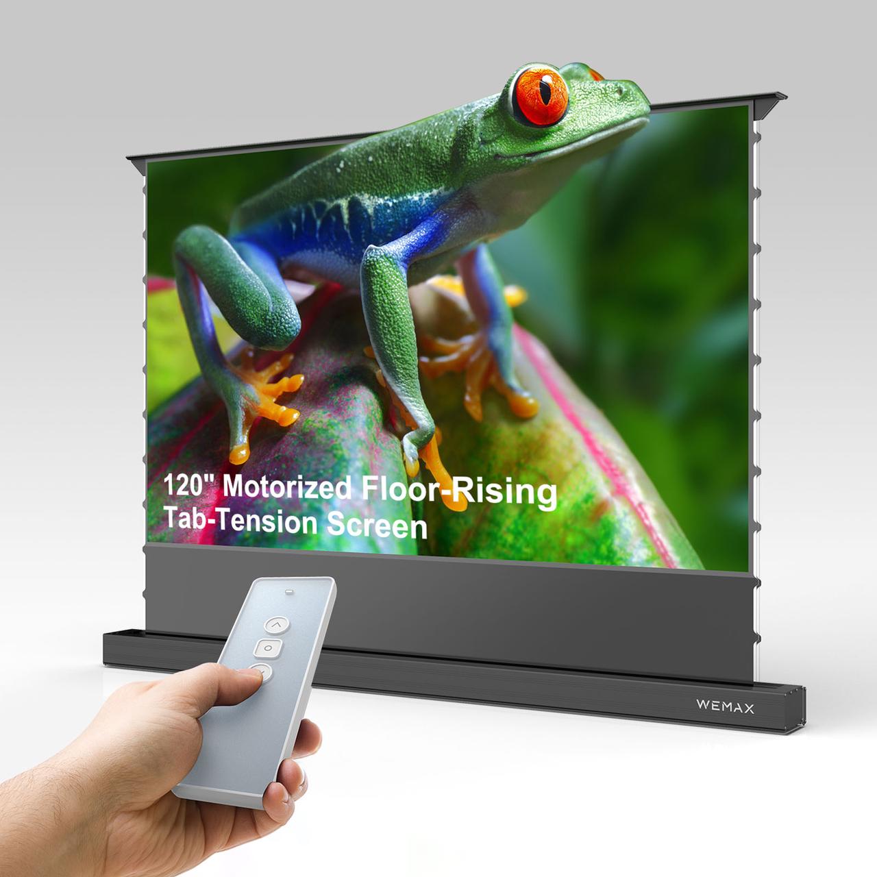 100 Inch Portable Projector Cloth Screen 16:9 – WEMAX Official