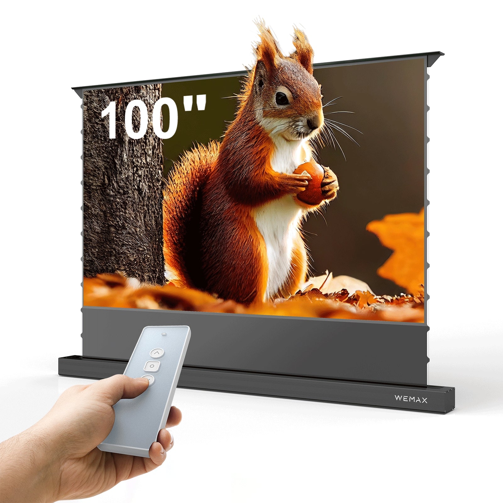 Electrical Floor Rising Screen – WEMAX Official